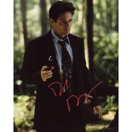 Signed Autograph DUCHOVNY David - All-Autographes.com
